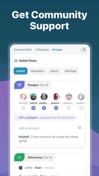 I Am Sober － AppMentalHealth